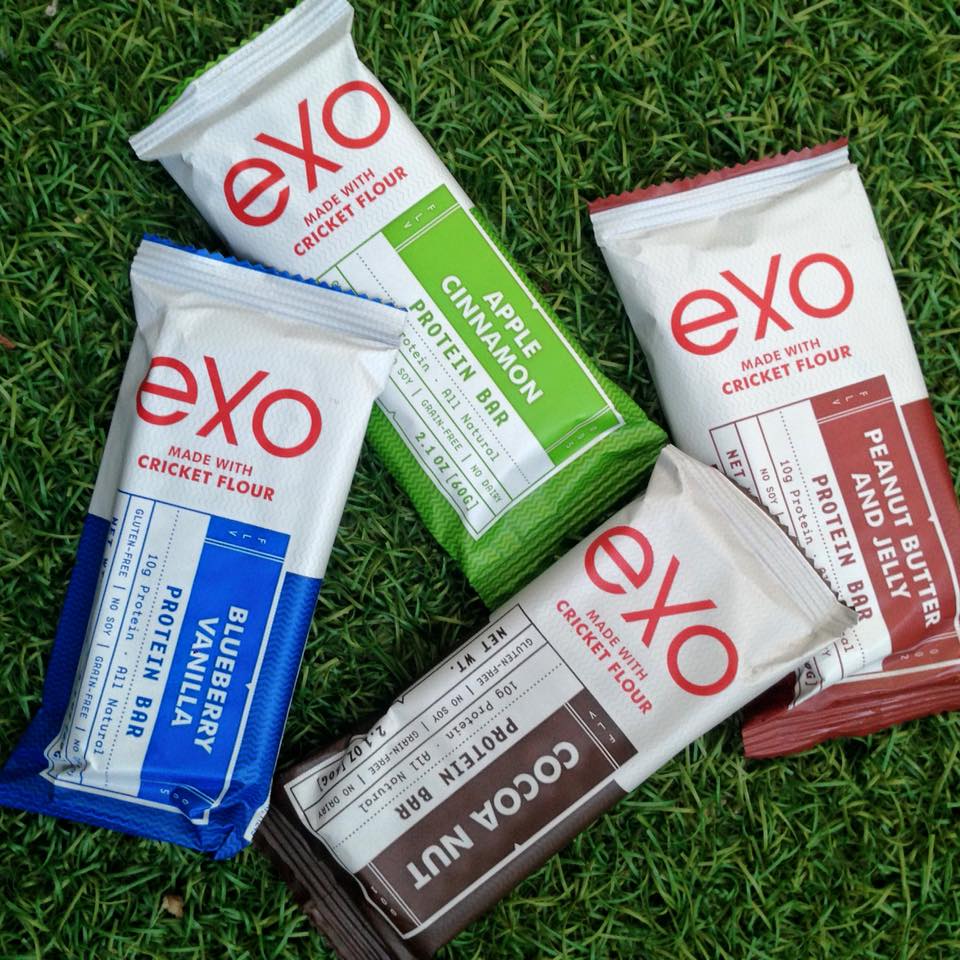Exo bars, the day I ate cricket – Fit Sister